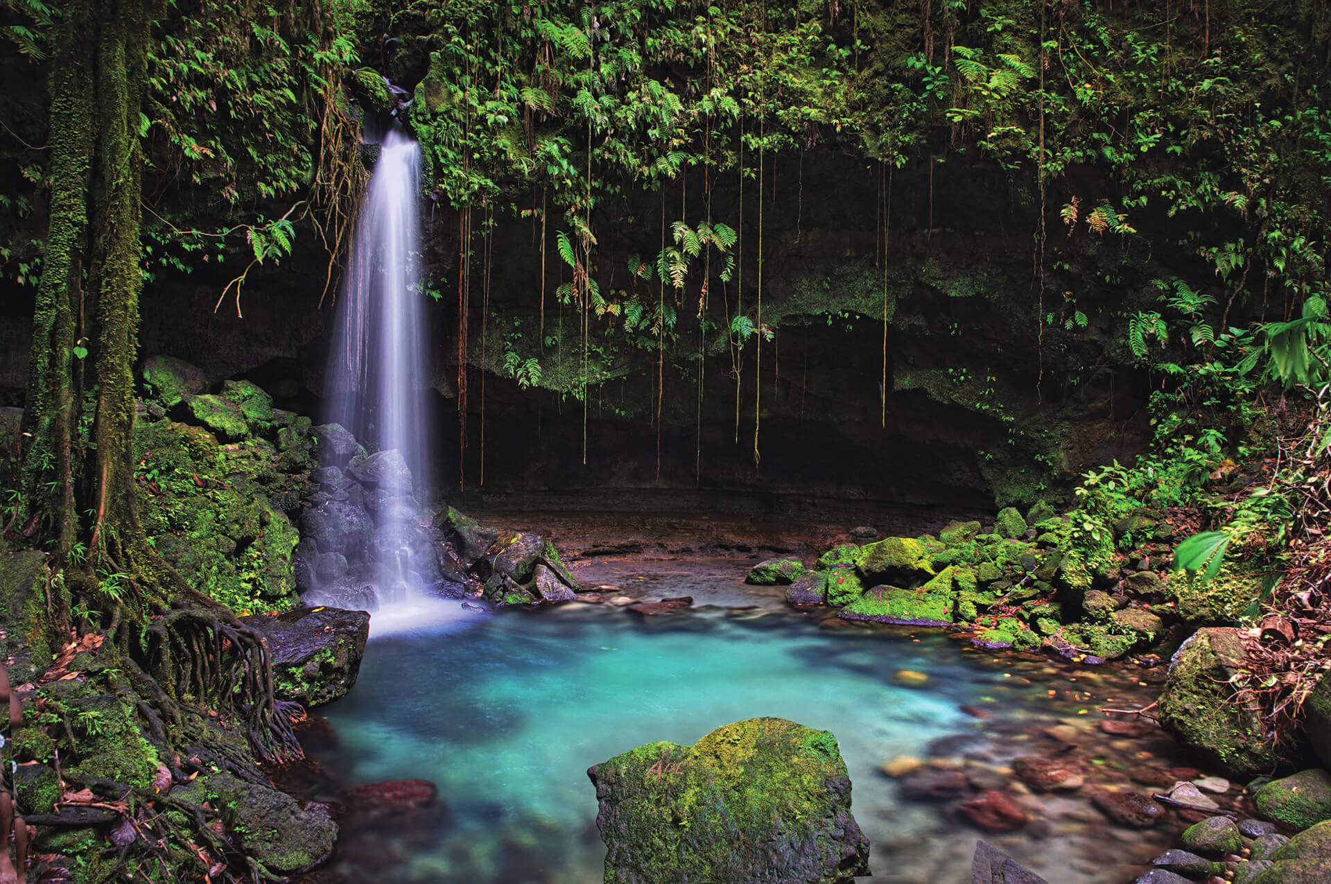 DOMINICA WANTS YOU TO WORK REMOTELY FROM THEIR BEAUTIFUL ISLAND » URBN ...